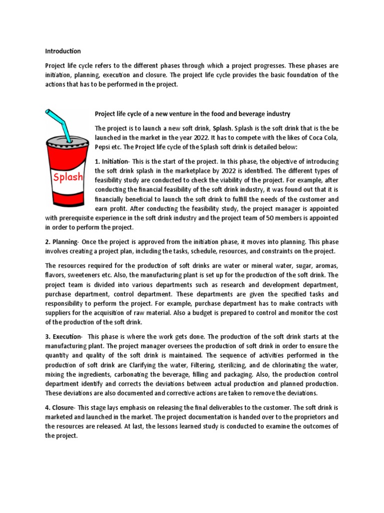 Soft Drink Project | PDF | Soft Drink | Drink