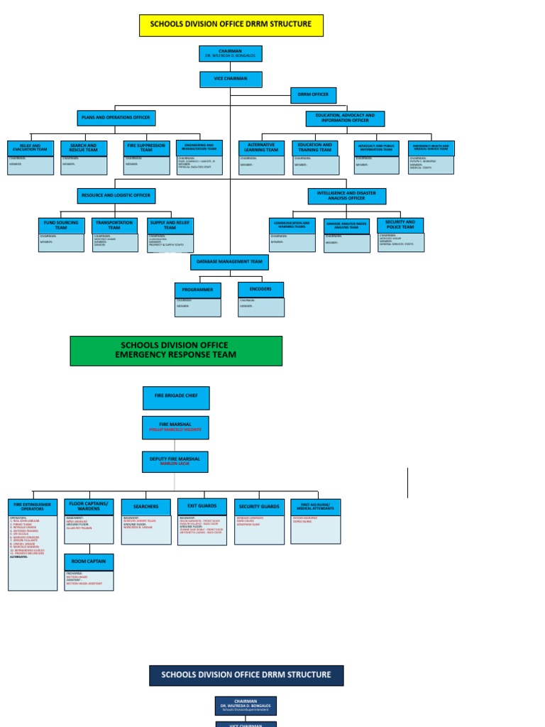 Sdo DRRM Structure | PDF | Public Services | Government