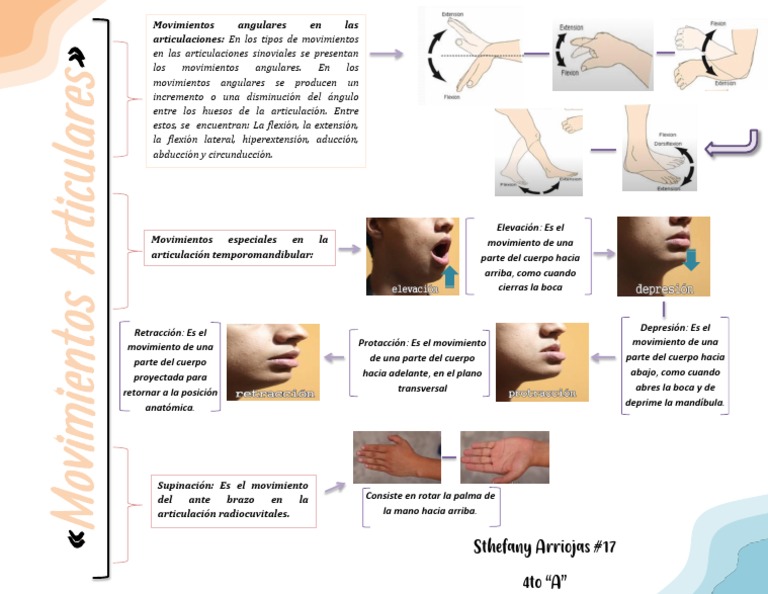 Movimientos Articulares Básicos | PDF | Articulación | Sistema musculoesquelético