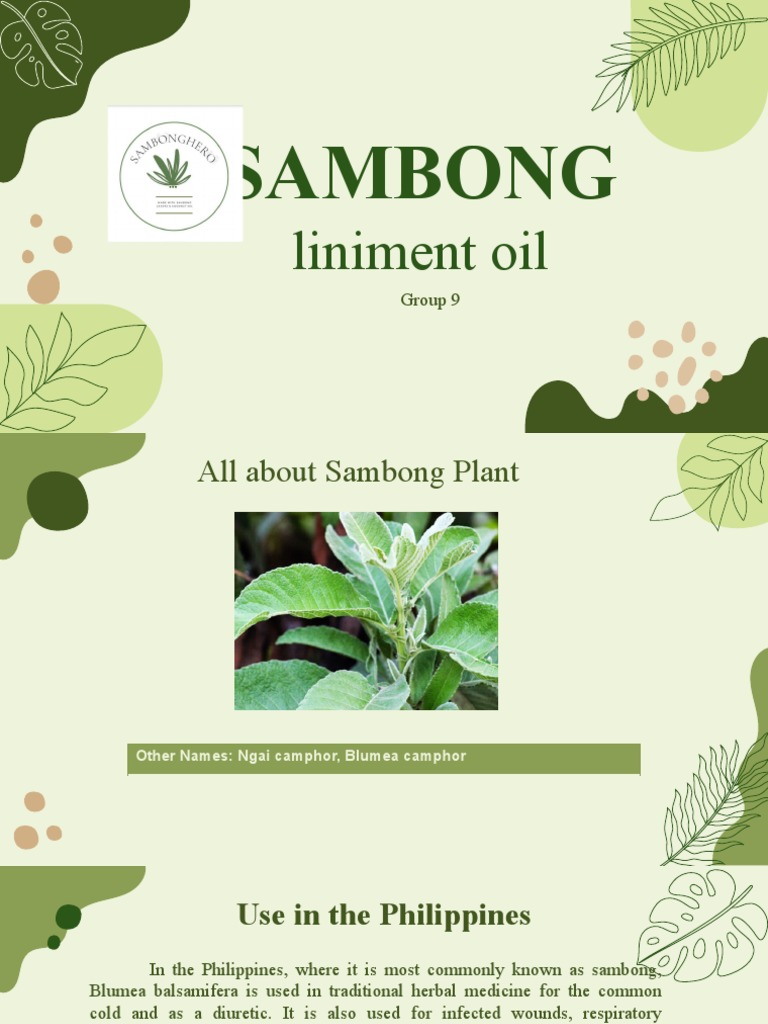 An In-Depth Exploration of the Traditional Medicinal Uses and Health ...