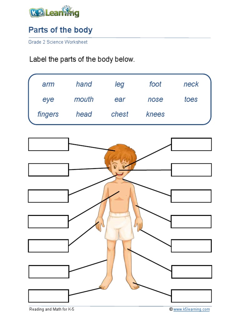 Grade 2 Parts Body A | PDF | Career & Growth | Language Arts & Discipline