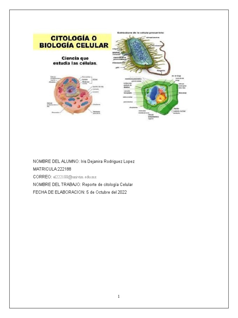 Celulas | PDF | Citoplasma | Biología Celular