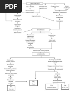 Pathway KOLELITIASIS | PDF