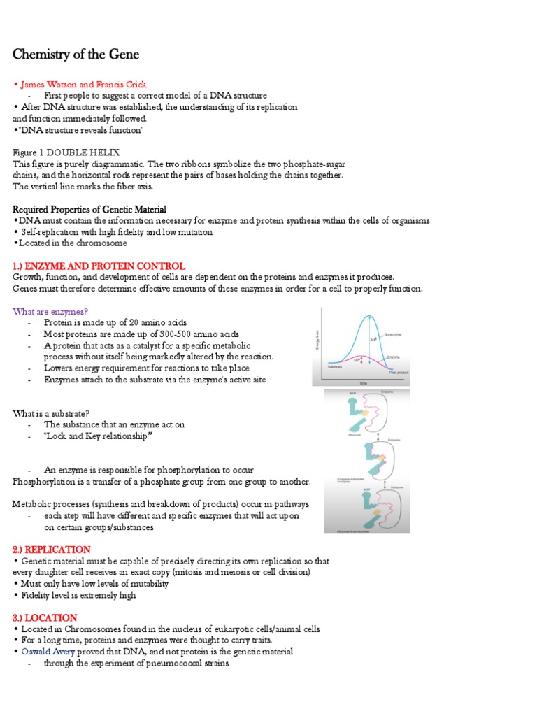 Chemistry of The Gene | PDF | Science & Mathematics