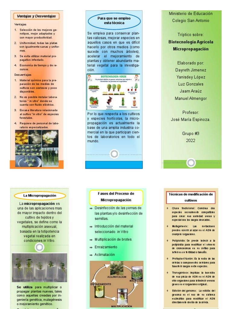 Triptico de Biologia | PDF | Mutación | Adn