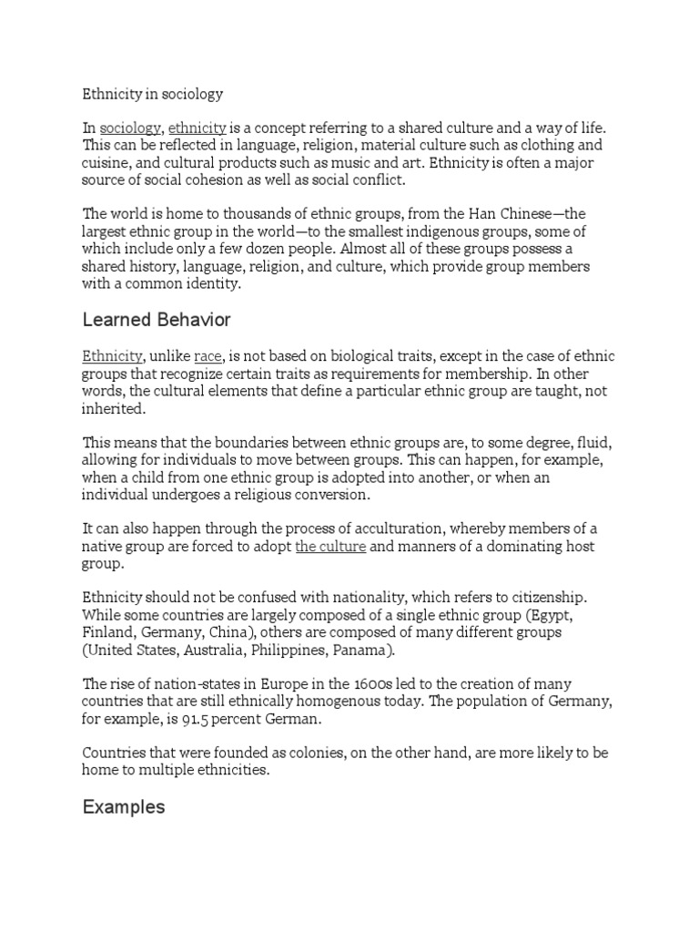 Ethnicity in Sociology Report | PDF