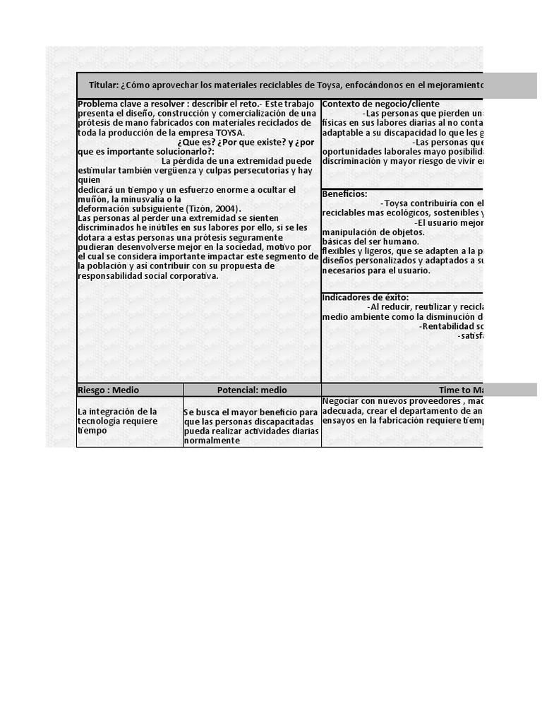 Matriz de Caso Toysa 2 | PDF | Invalidez | Mercado (economía)