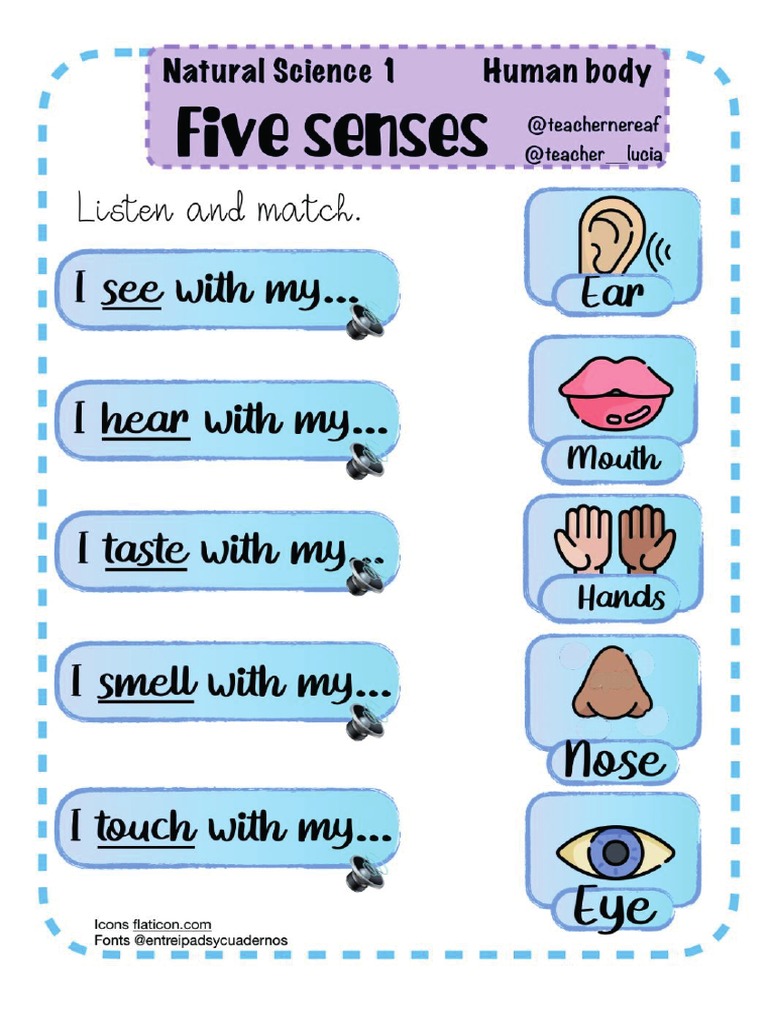Five Senses | PDF