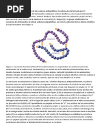 Dextrogira y Levogira en Química Orgánica | PDF | Chiralidad (Química ...