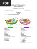 Class 11 Cell Structure Notes | PDF | Cell Biology | Anatomy