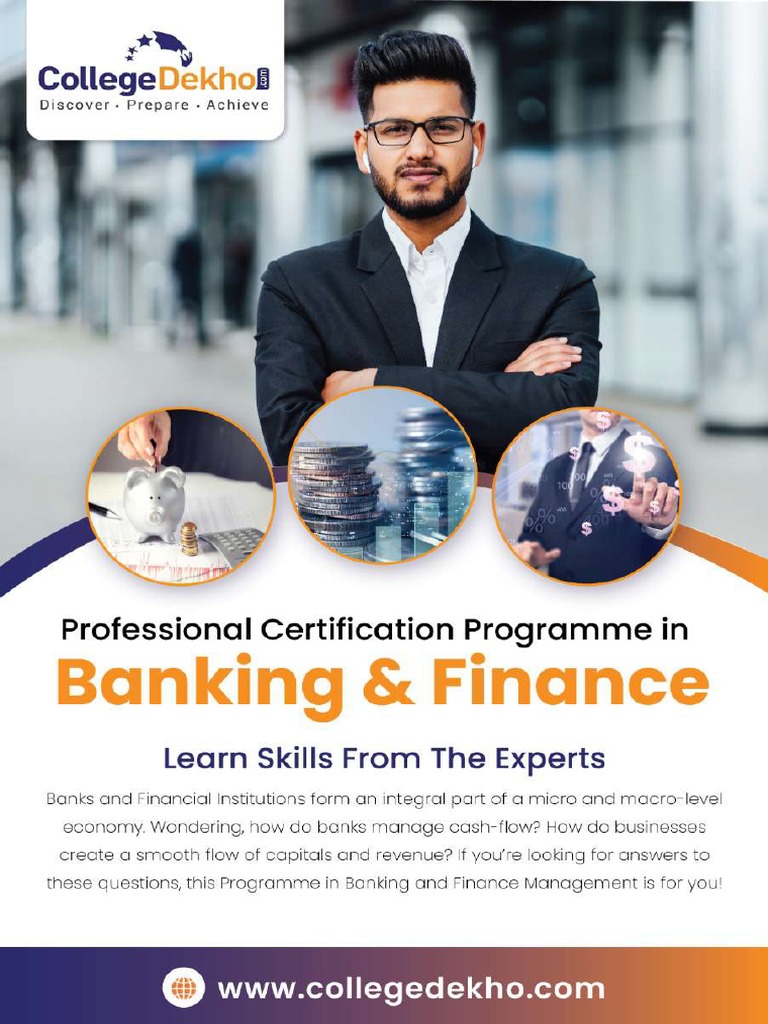 Professional | PDF