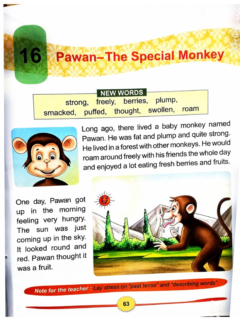 Lesson 16-Pawan-The Special Monkey | PDF