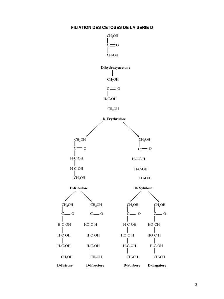 Filiation Des Oses | PDF