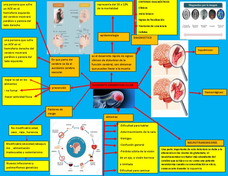 Accidente Cerebrovascular Pdf