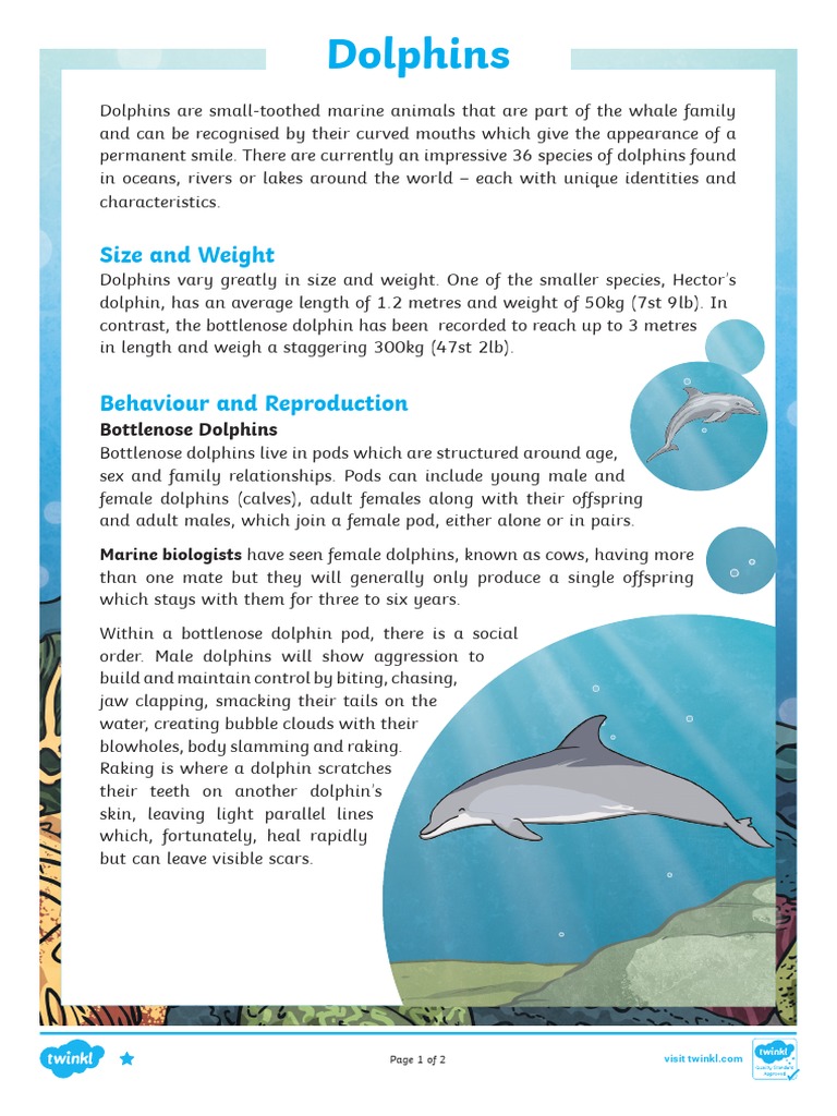 P5 Reading Exercise 56-2 | PDF | Dolphin | Cetacea