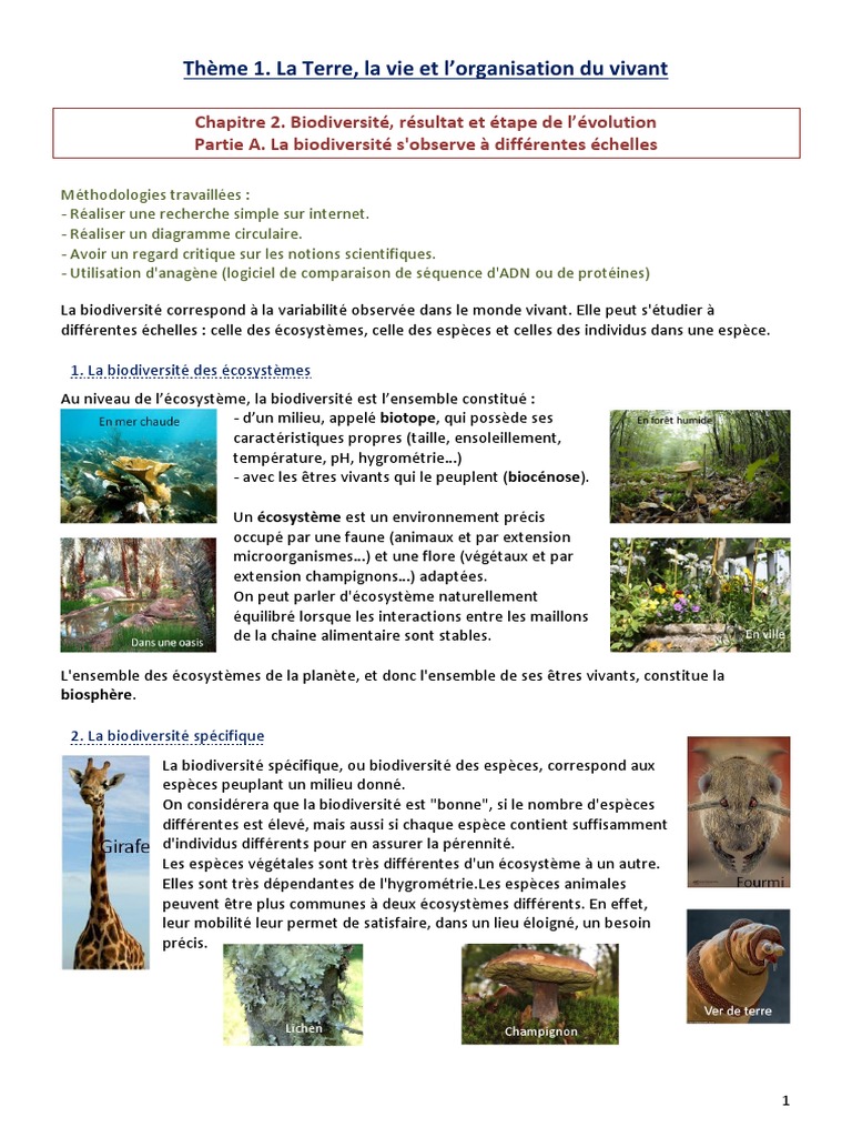 Biodiversité : Échelles et Dynamiques | PDF | Espèces | Écosystème