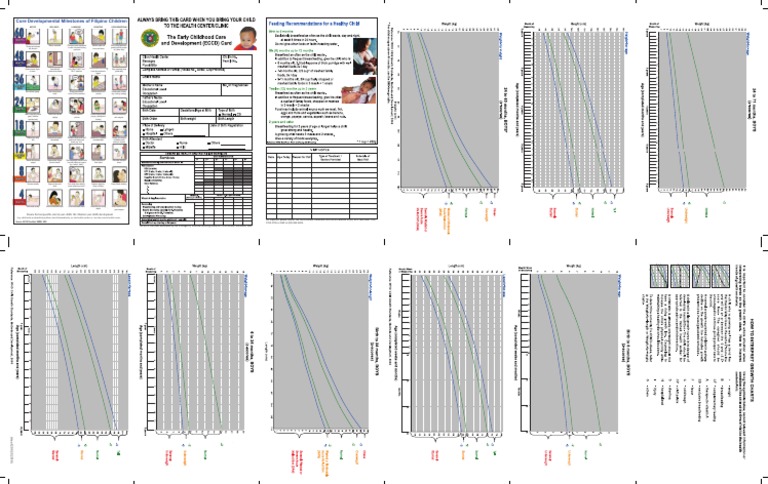 Core Developmental Milestones of Filipino Children: A Guide to ...