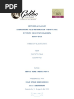 Tutorial Replit y Liveweave | PDF