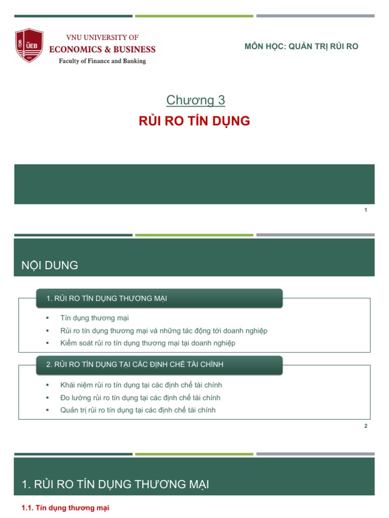 Quan Tri Rui Ro - Slides - Chuong 3-Rui Ro Tin Dung | PDF