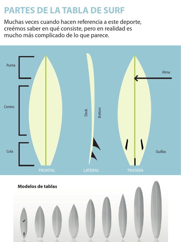 Infografía - Partes de Una Tabla de Surf | PDF | Juegos y actividades