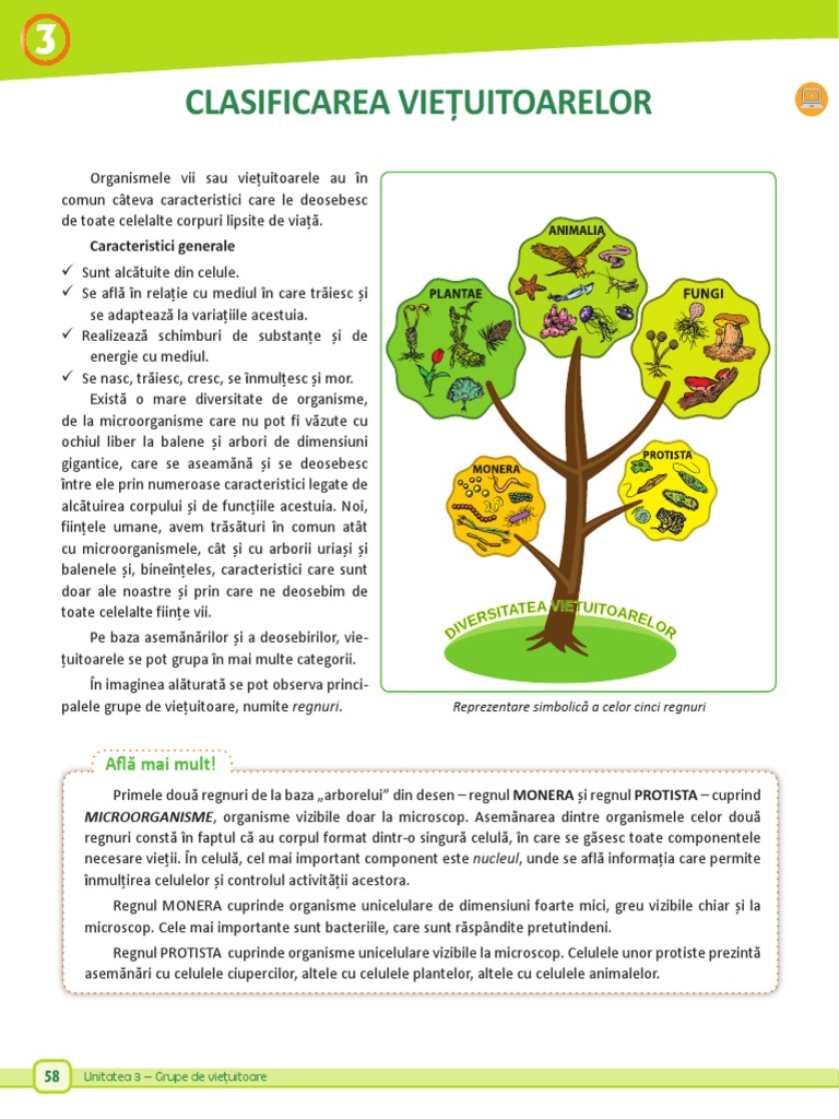 L - Clasificarea Vietuitoarelor | PDF