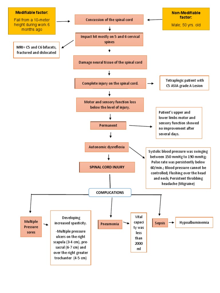 SCI Pathophysiology Miculob | PDF | Spinal Cord Injury | Human Anatomy