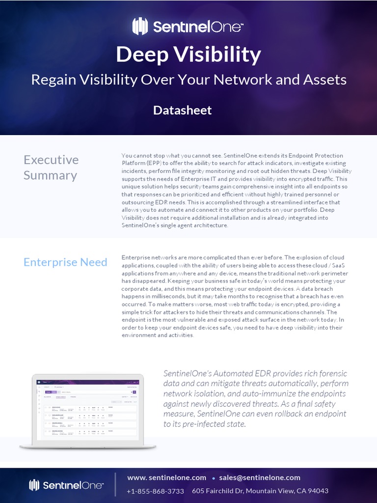SentinelOne Deep Visibility Overview | PDF