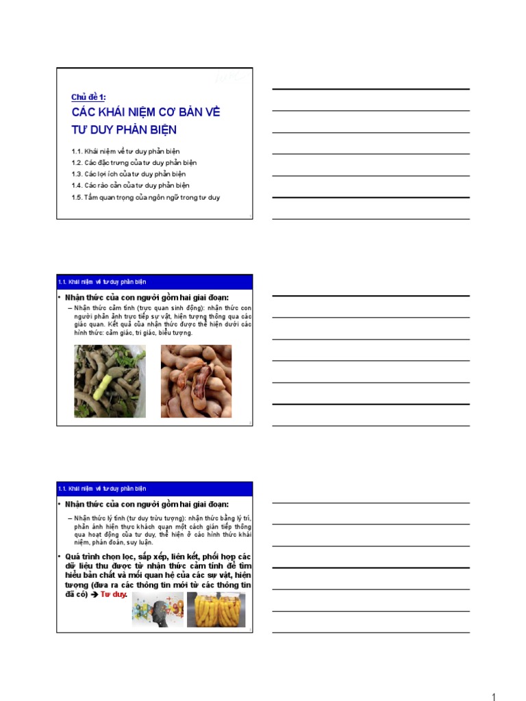 TDPB-Chu de 1.1 | PDF