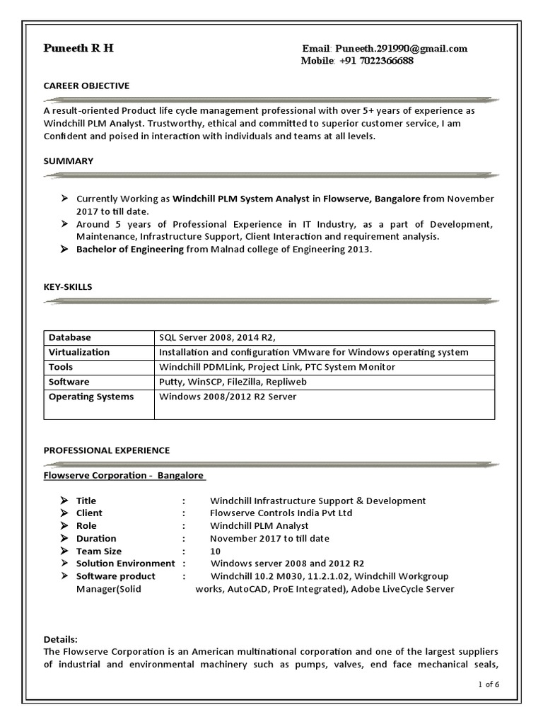 Puneeth R H | PDF | Product Lifecycle | Software