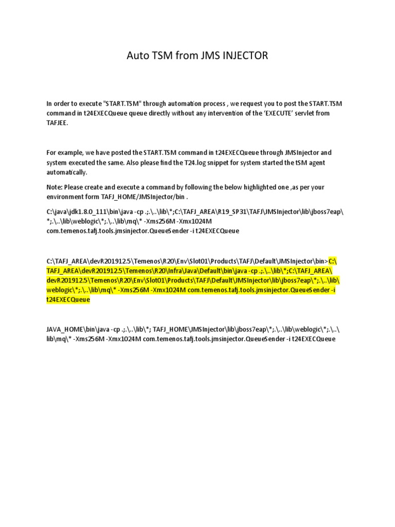 Auto TSM From JMS INJECTOR | PDF