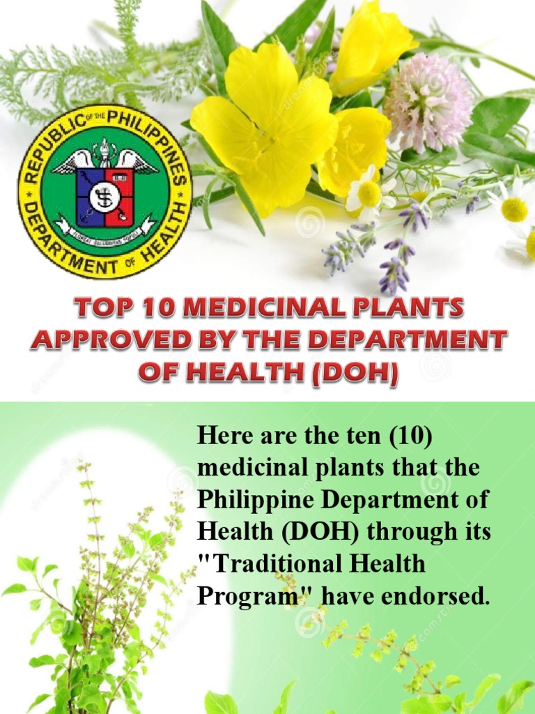 Top 10 DOH-Approved Medicinal Plants | PDF | Home & Garden | Wellness