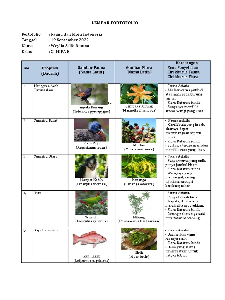 Flora dan Fauna Dataran Sunda | PDF