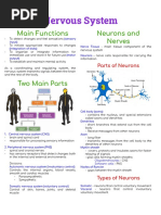 Science-Reviewer-3rd-Quarter For Grade 10 Biology | PDF | Motor Neuron ...