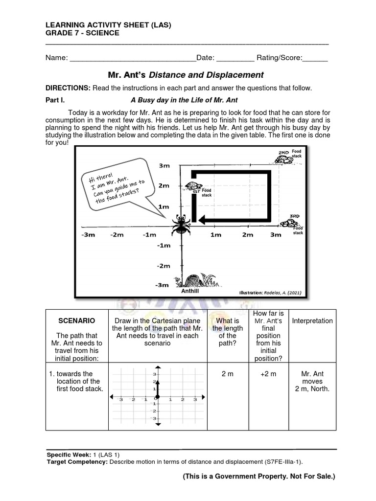 Grade 7 Science: Distance, Displacement, Speed & Velocity | PDF | Euclidean Vector | Velocity