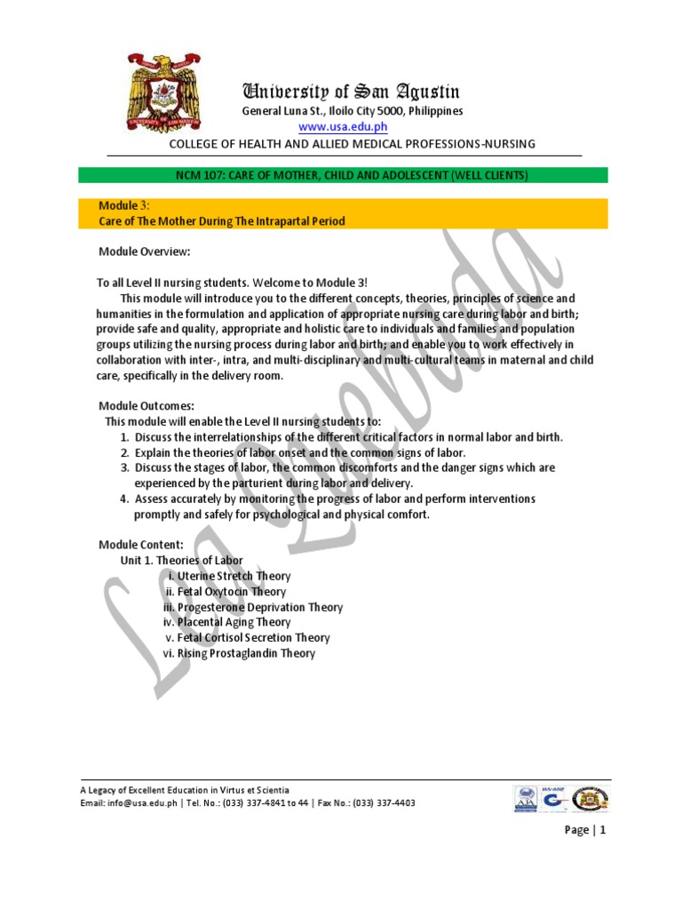 Intrapartal Care: Labor Theories Explained | PDF | Uterus | Childbirth