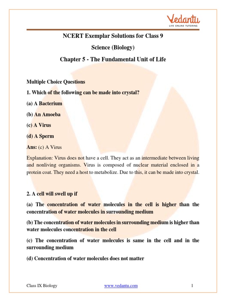 NCERT Exemplar For Class 9 Science Chapter 5 | PDF | Endoplasmic Reticulum | Cell (Biology)