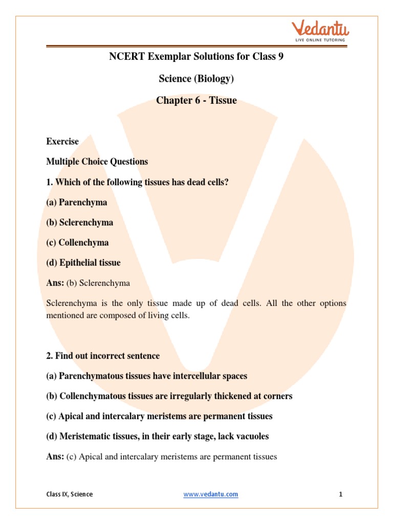 NCERT Exemplar For Class 9 Science Chapter 6 | PDF | Tissue (Biology ...