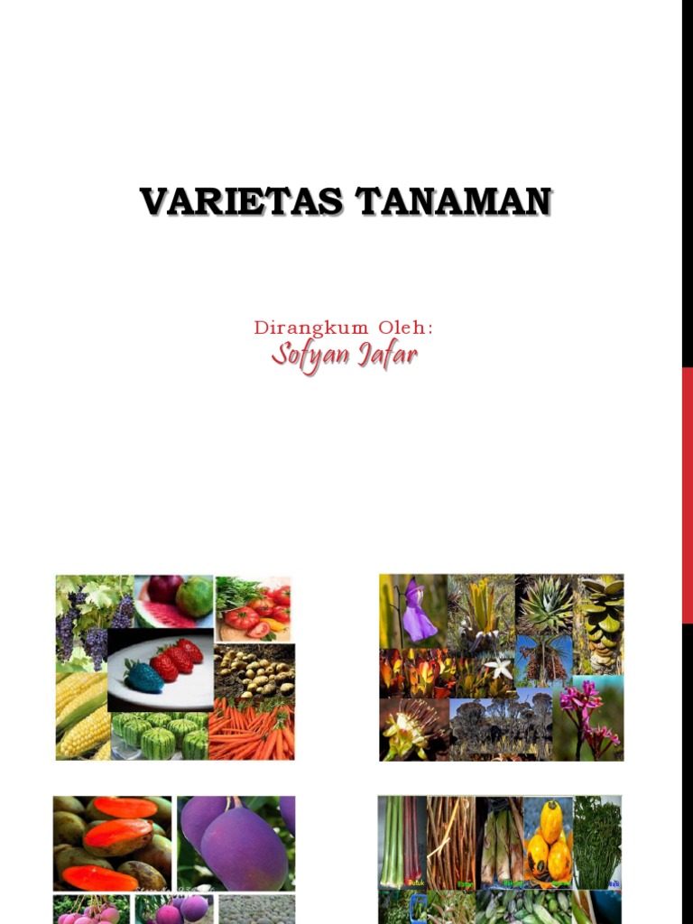 Hk. Varietas Tanaman | PDF