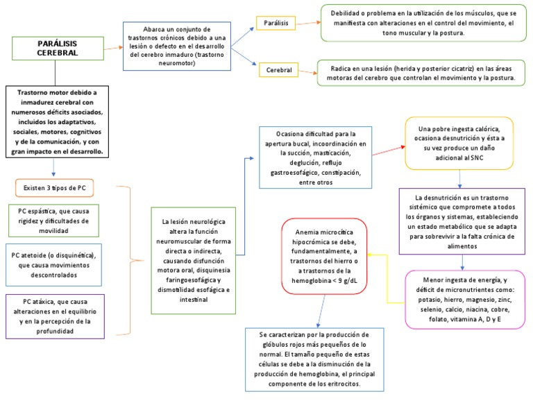 Abarca Un Conjunto de Trastornos Crónicos Debido A Una Lesión o Defecto ...