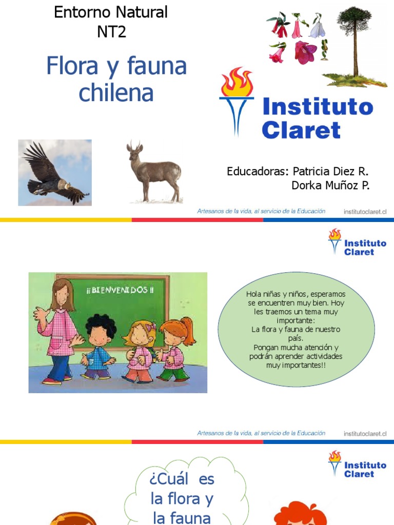 NT2 Entorno Natural Flora y Fauna Chilena | PDF | Chile | Arboles
