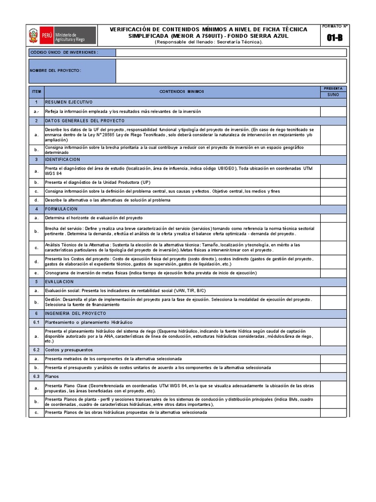 Formato N°01-B Contenido Minimo de Ficha Simplificada | PDF | Presupuesto | Naturaleza