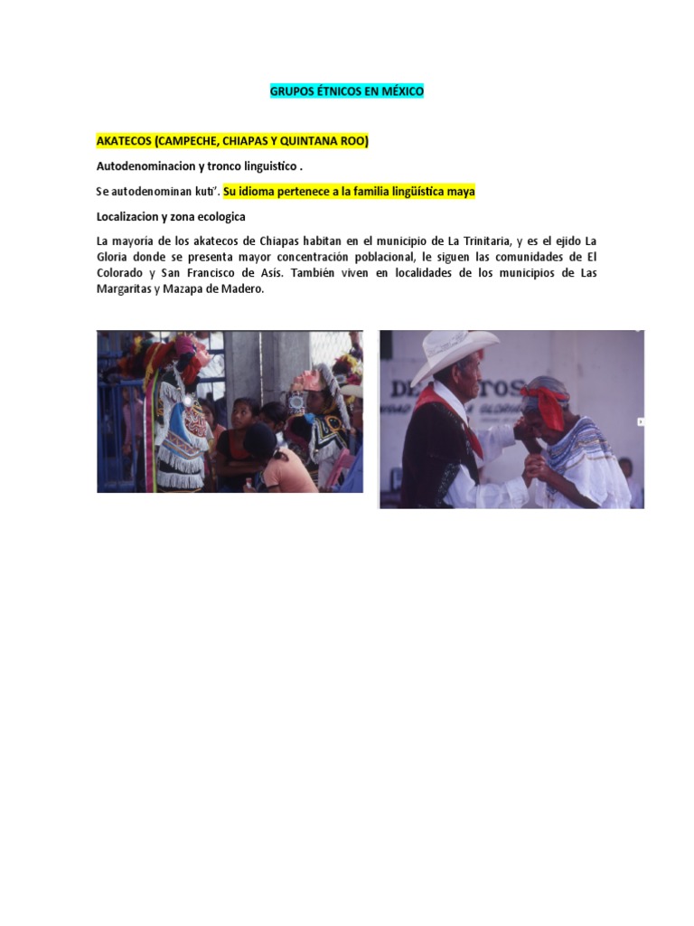 Grupos Étnicos en México | PDF | Pueblos Indígenas de las Américas ...