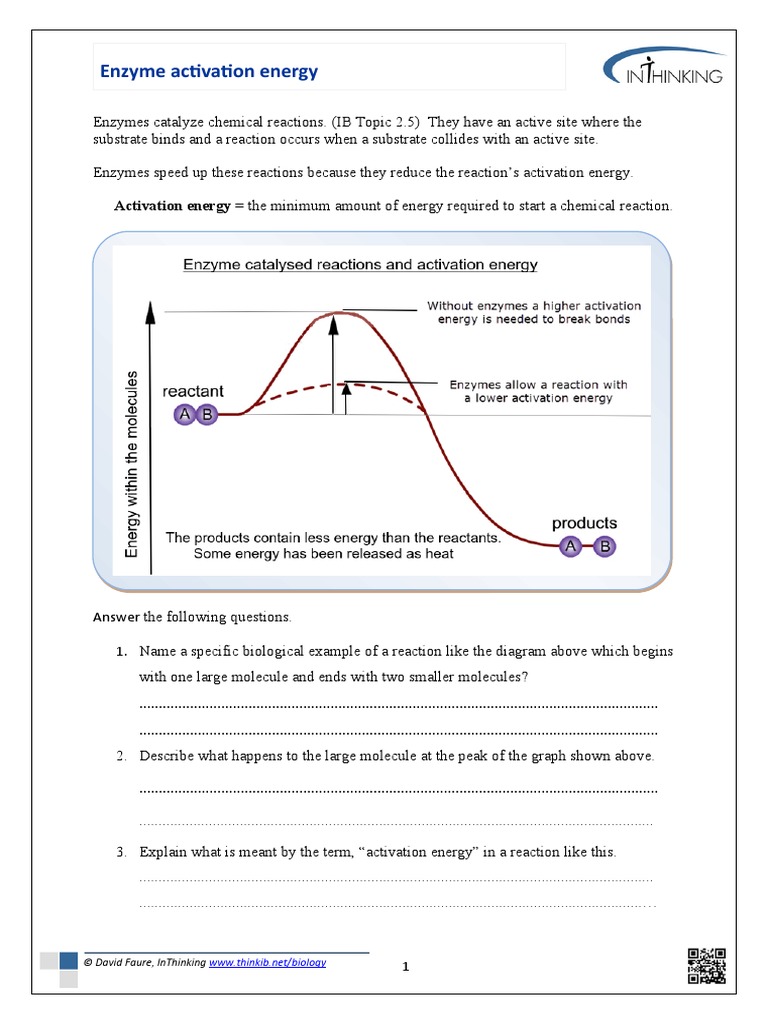 Enzyme Activation Energy Ss Improved | PDF | Enzyme | Active Site