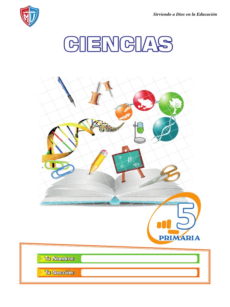 5 Ciencias 5to 1B Prim (Recuperado) (Recuperado 1) | PDF | Ojo humano ...