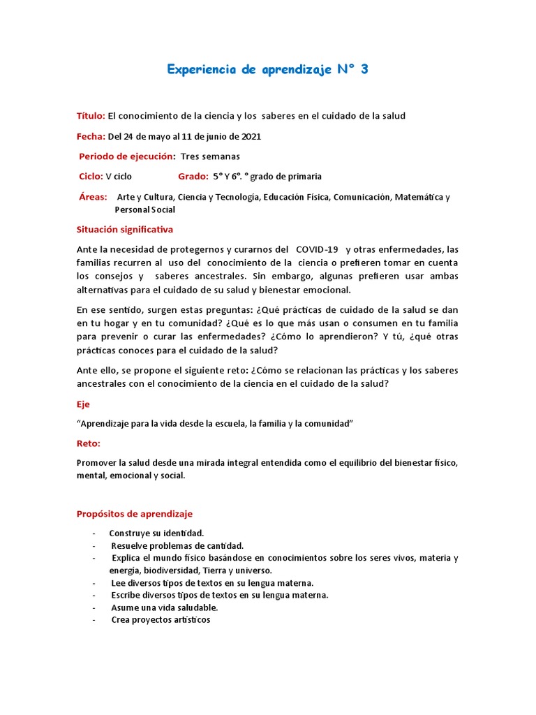 Experiencia de Aprendizaje MODELO ACTUAL | PDF