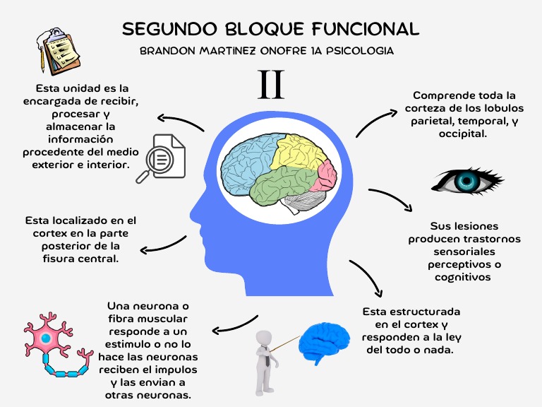 Mapa Mental Segundo Bloque Funcional | PDF