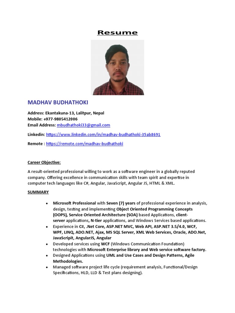 Madhav Resume | PDF | World Wide Web | Internet & Web