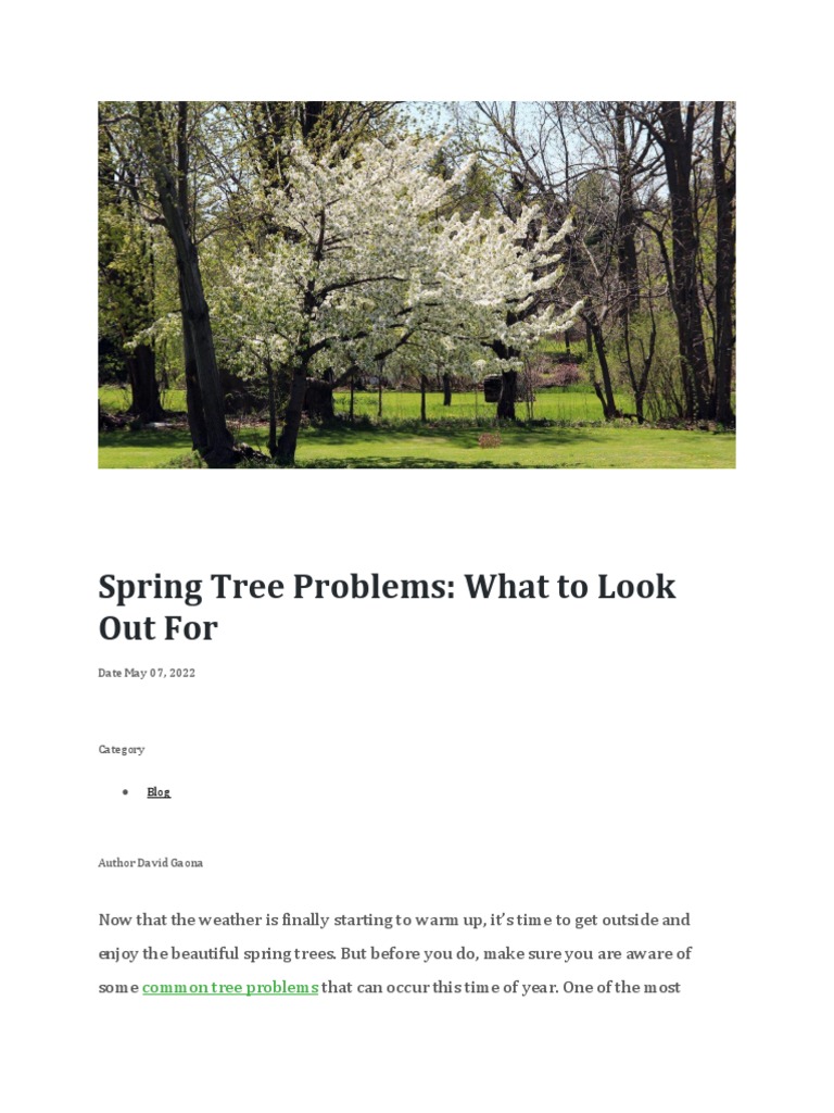 Spring Tree Problems: What To Look Out For - TreeNewal | PDF
