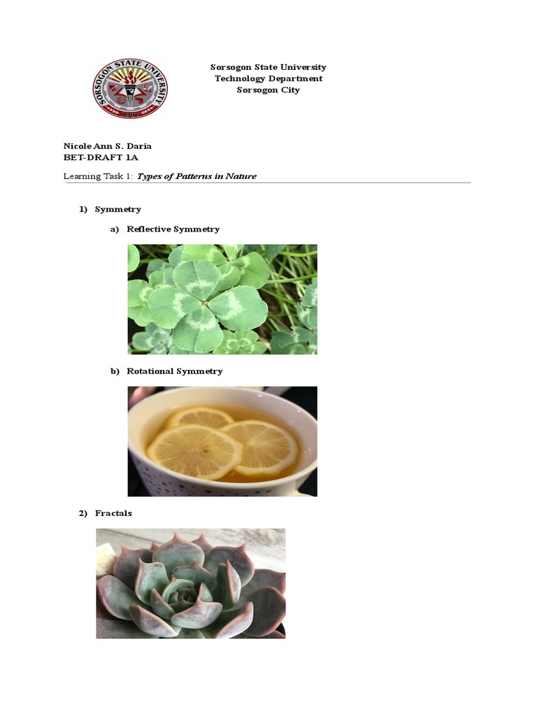 Types of Patterns in Nature Explained | PDF