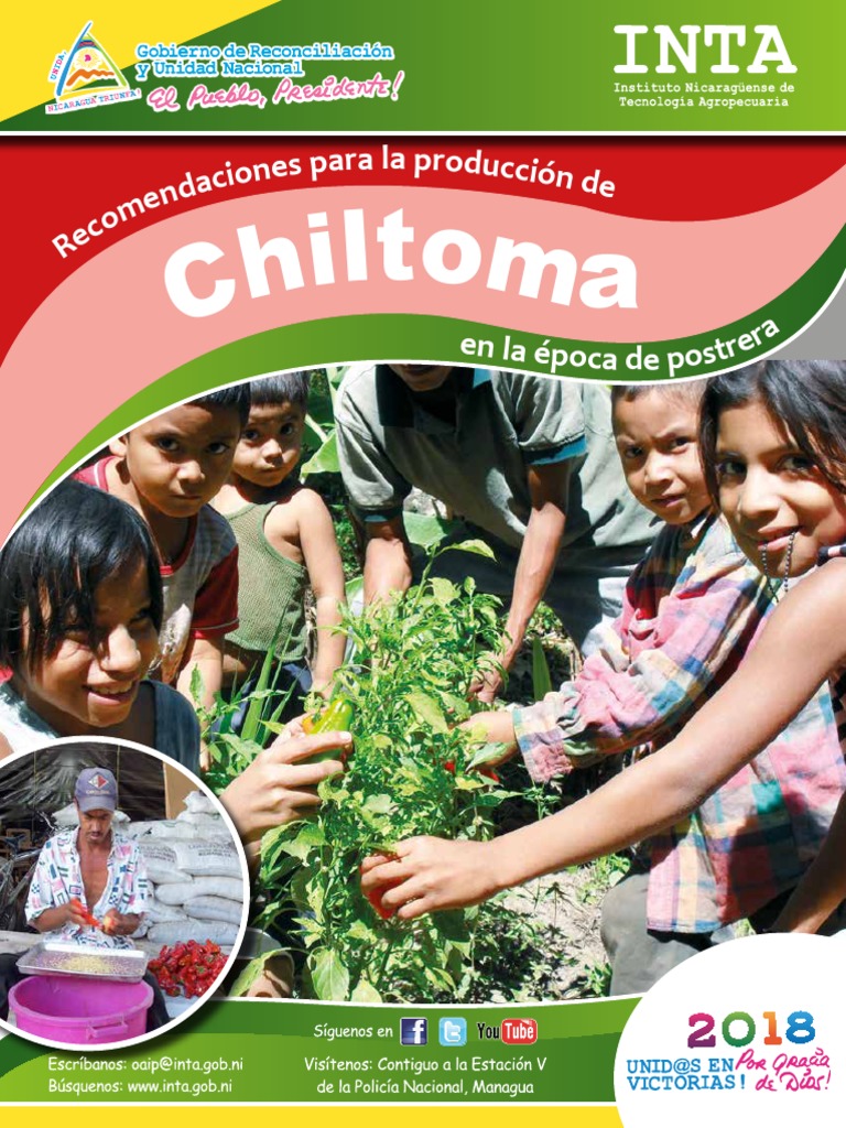 Recomendaciones Produccion - Chiltoma | PDF | Siembra | Hierba
